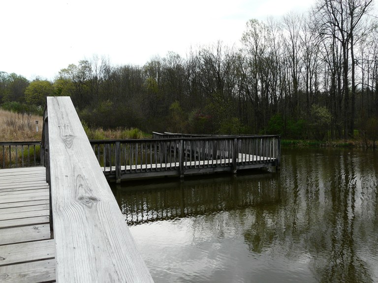 Four Seasons of Gorman Nature Center – Karen Discovers