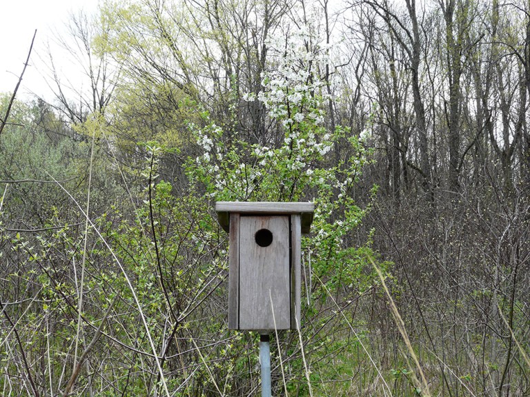 Four Seasons of Gorman Nature Center – Karen Discovers