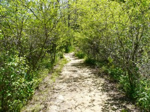 Four Seasons of Gorman Nature Center – Karen Discovers