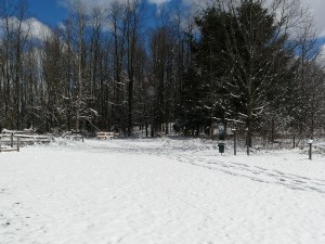 Four Seasons of Gorman Nature Center – Karen Discovers