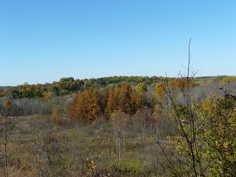 Four Seasons of Gorman Nature Center – Karen Discovers