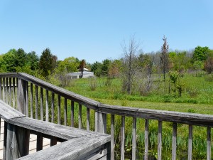 Four Seasons of Gorman Nature Center – Karen Discovers