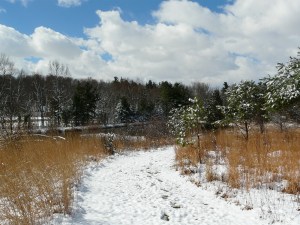 Four Seasons of Gorman Nature Center – Karen Discovers
