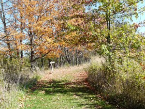 Four Seasons of Gorman Nature Center – Karen Discovers