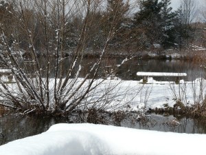 Four Seasons of Gorman Nature Center – Karen Discovers