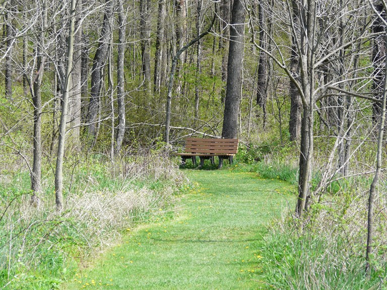 Four Seasons of Gorman Nature Center – Karen Discovers