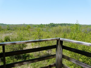 Four Seasons of Gorman Nature Center – Karen Discovers