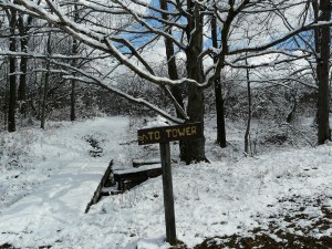 Four Seasons of Gorman Nature Center – Karen Discovers