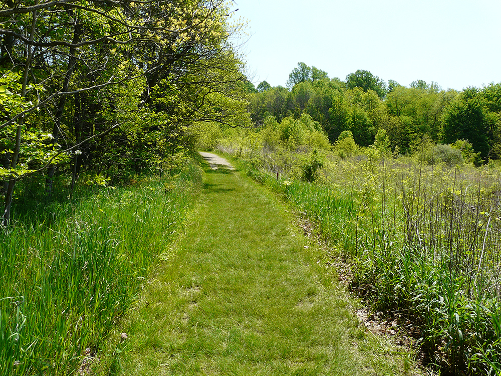 Four Seasons of Gorman Nature Center – Karen Discovers